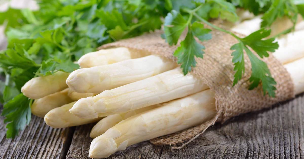 Spargel – vom Feld frisch auf den Teller | ELITE Electro-Partner