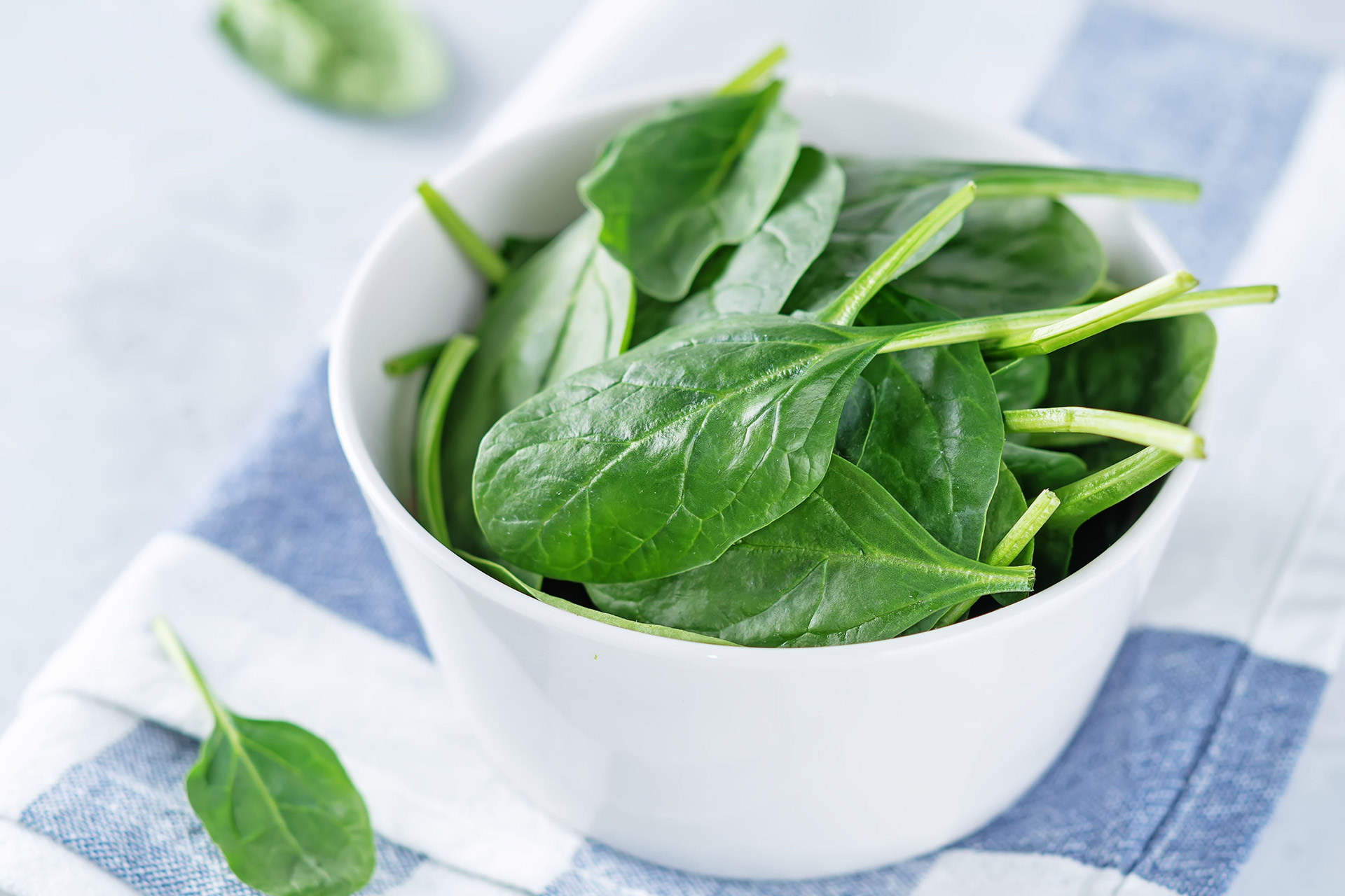 Spinat – der grüne Alleskönner | ELITE Electro-Partner
